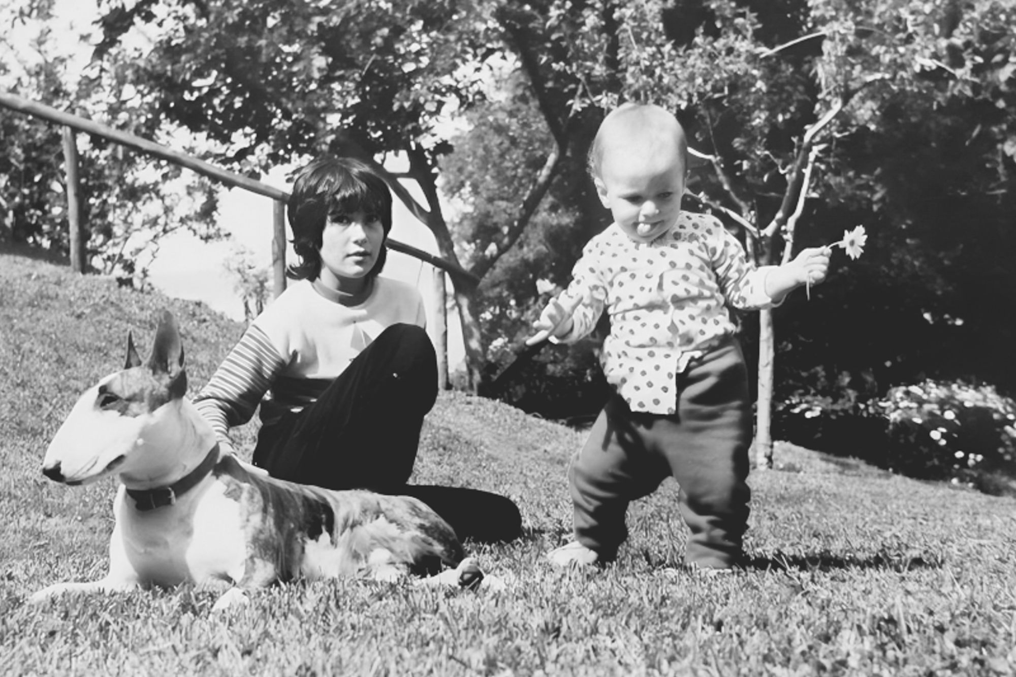 About – Mikhail Rogachevsky